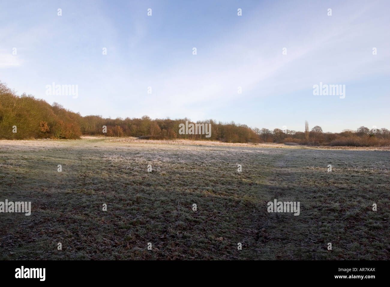 Epping forest family hi-res stock photography and images - Alamy