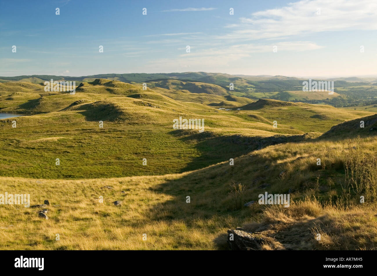 Teifi lakes hi-res stock photography and images - Alamy