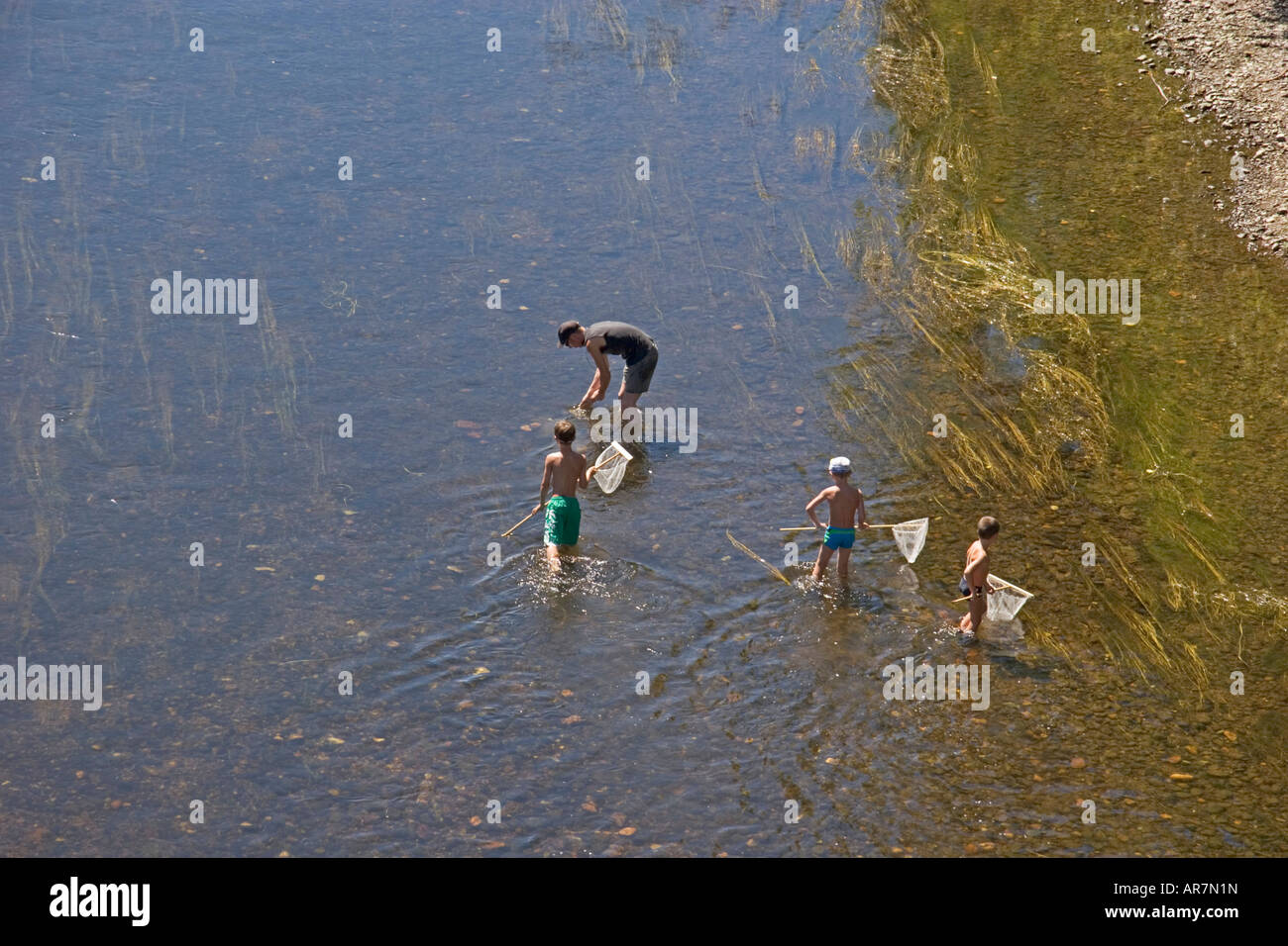 Man and children using small hand nets to fish in the shallows of a ...