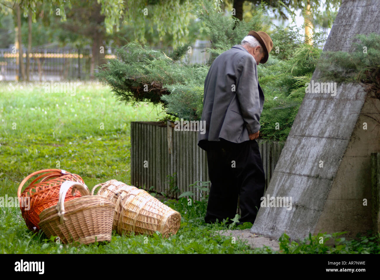 An elderly man relieves himself in a park in the historic town of ...