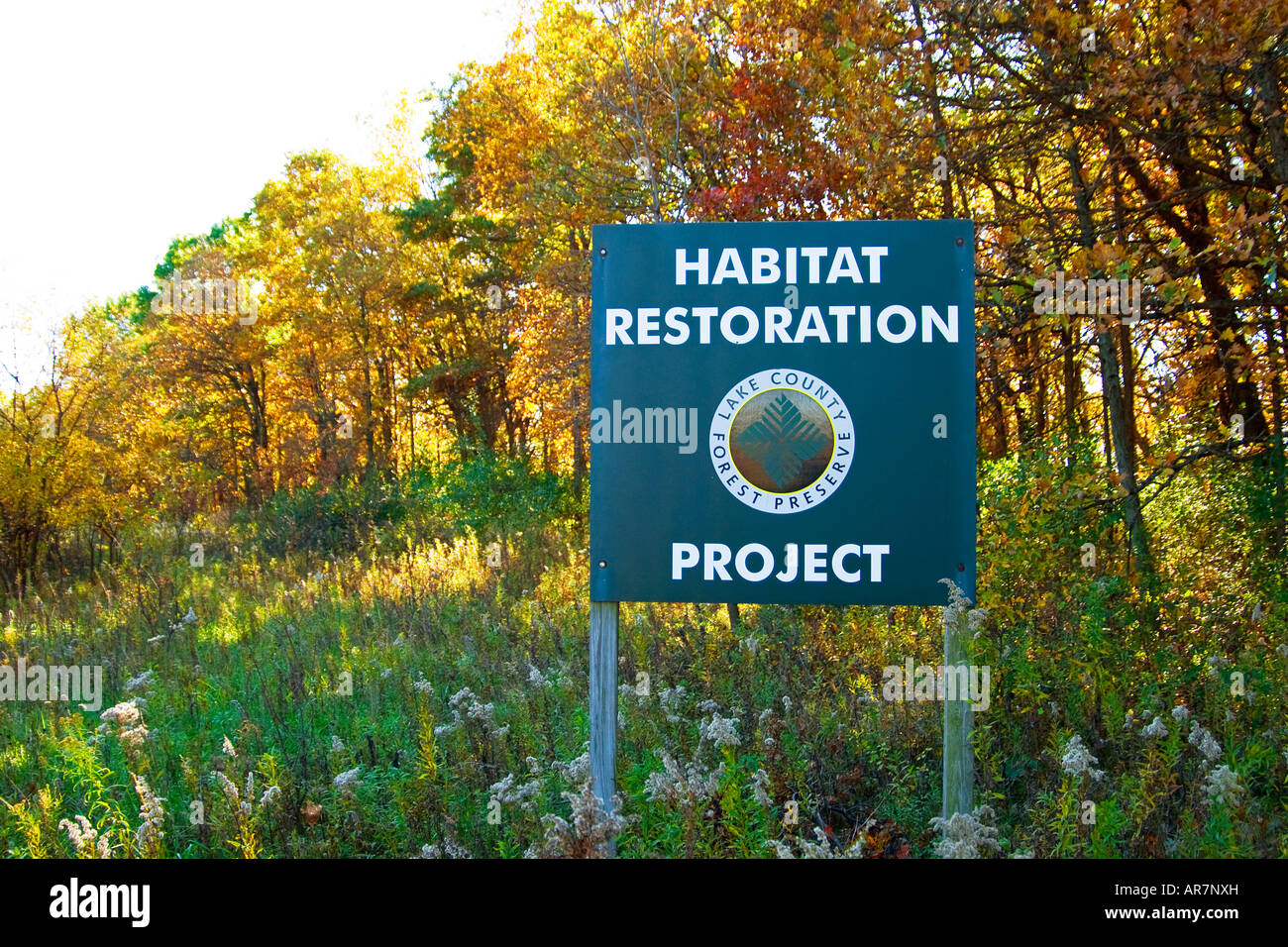 Habitat restoration project hi-res stock photography and images - Alamy