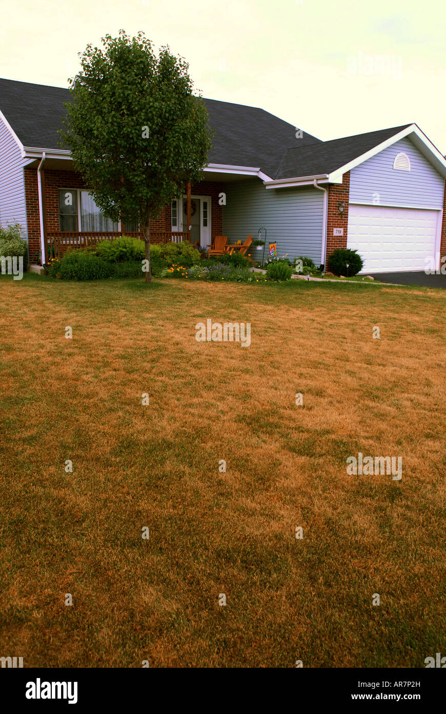 The effect of drought on the lawn of an upscale suburban home near ...