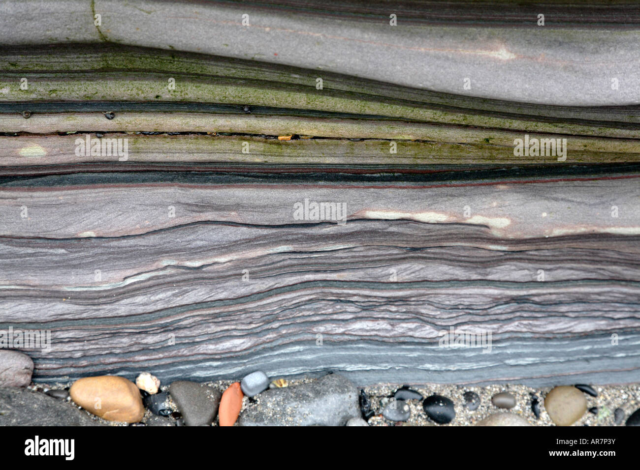 Geological features of the North Northumberland coast Stock Photo - Alamy