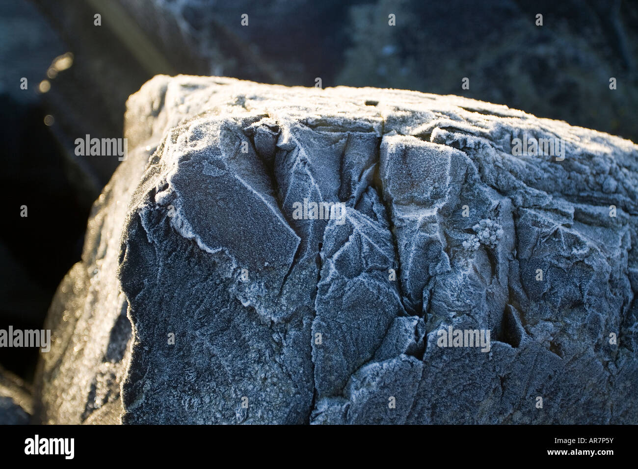 A hard frost forming beautiful patterns on a rock on a winter's morning ...