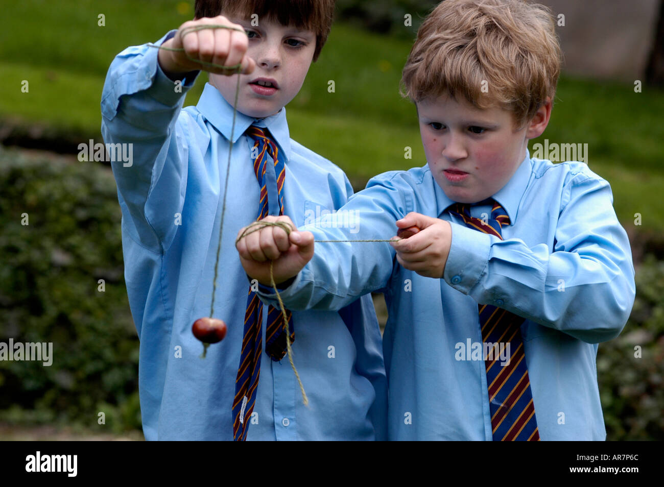 boys playing conkers Stock Photo - Alamy