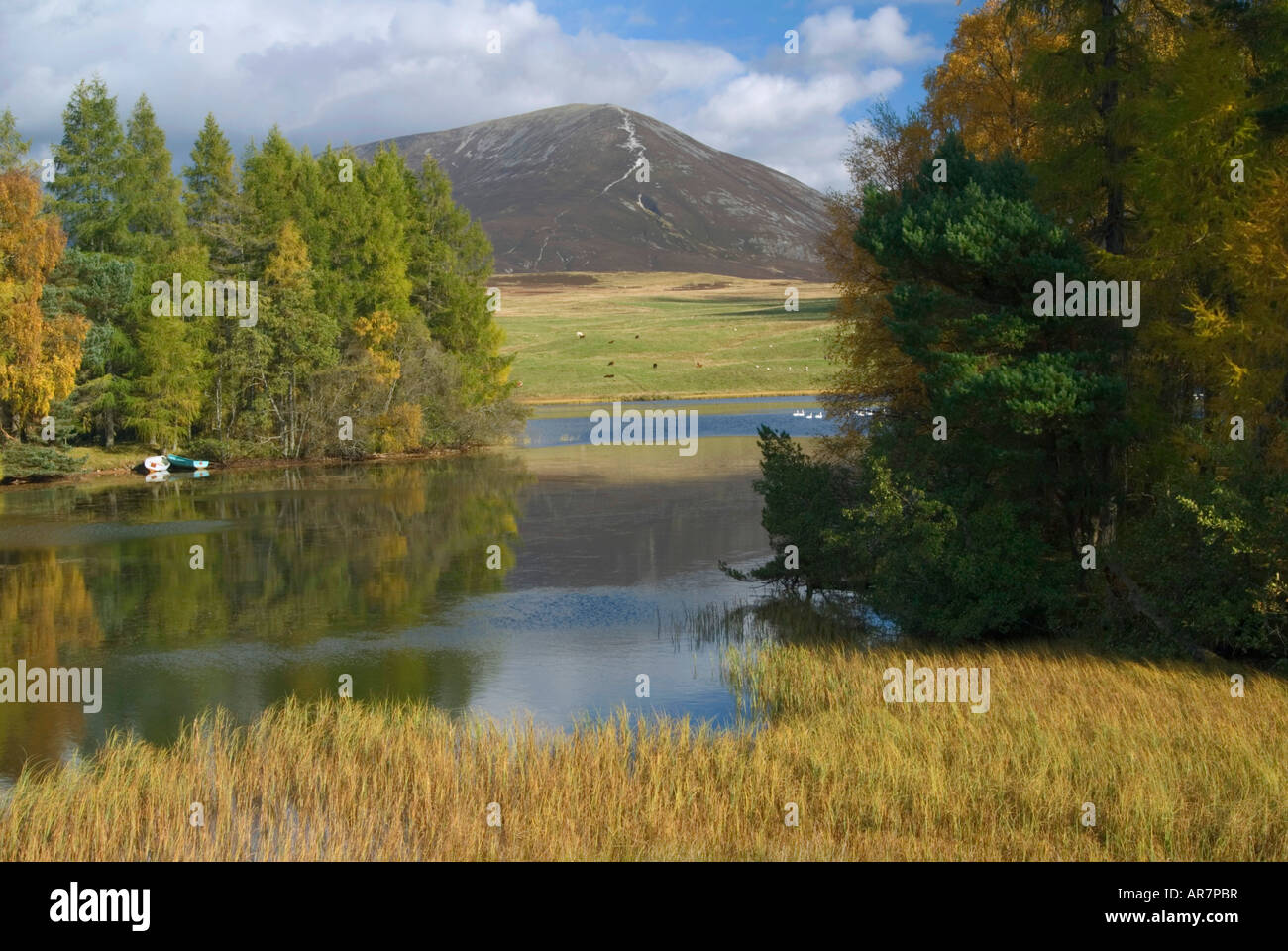 Loch Moraig, Perthshire, Scotland, UK Stock Photo - Alamy