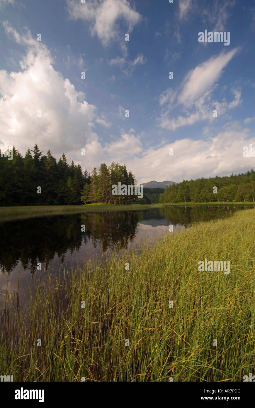 Freshwater lochs of scotland hi-res stock photography and images - Alamy