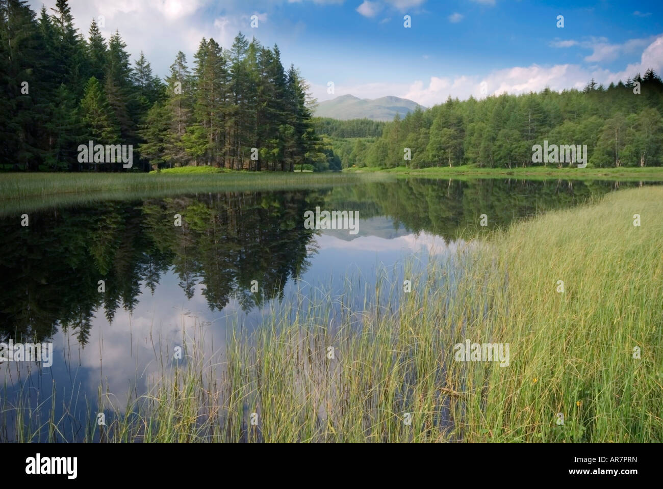 Scottish lochs and glens hi-res stock photography and images - Alamy