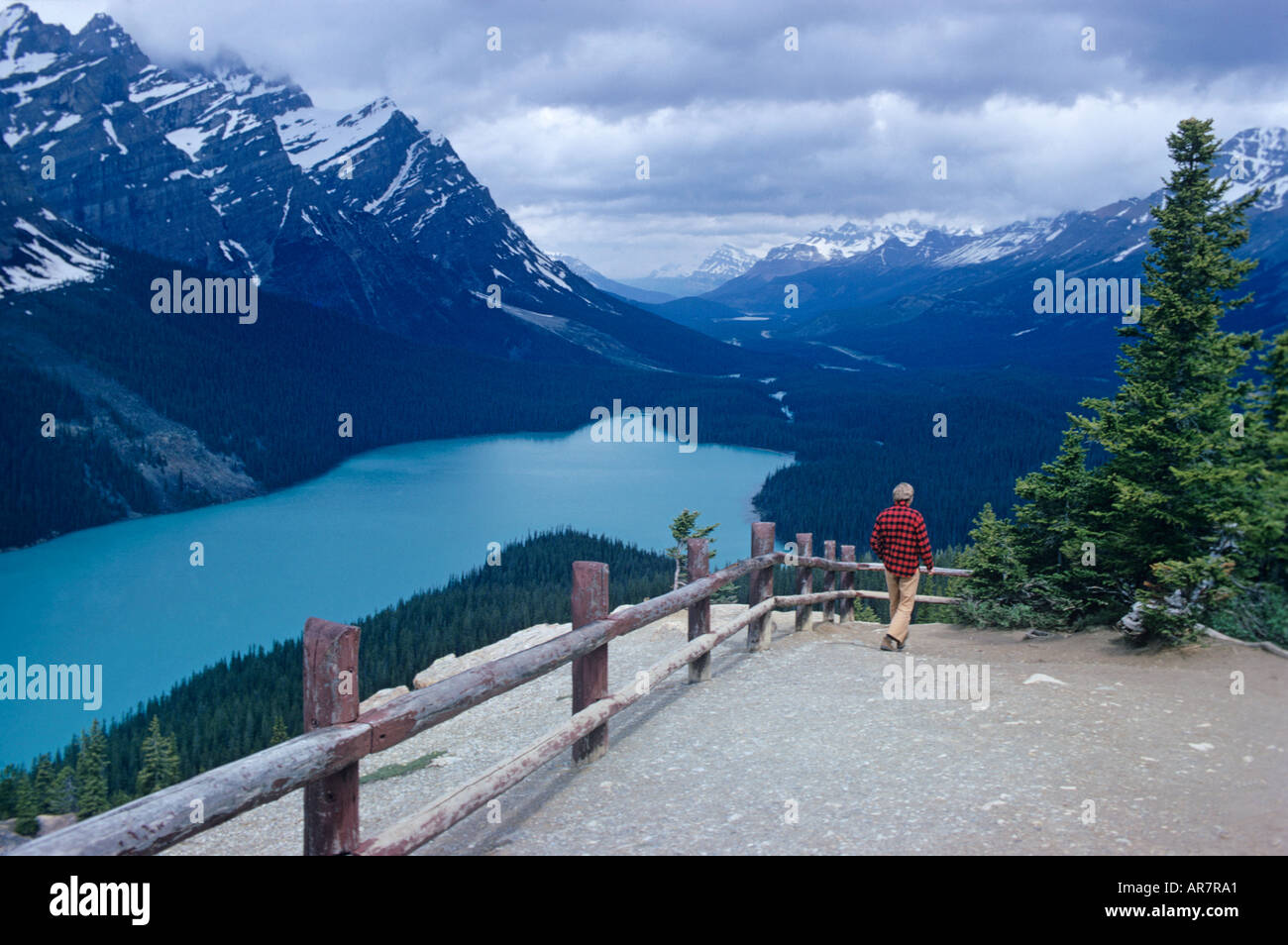 Canada, Banff. View of Peyto Lake. The mineral content gives the lake ...