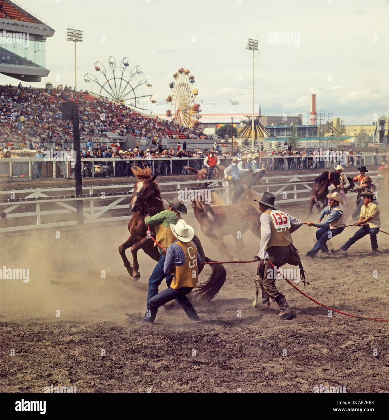 Calgary stampede rodeo hi-res stock photography and images - Alamy