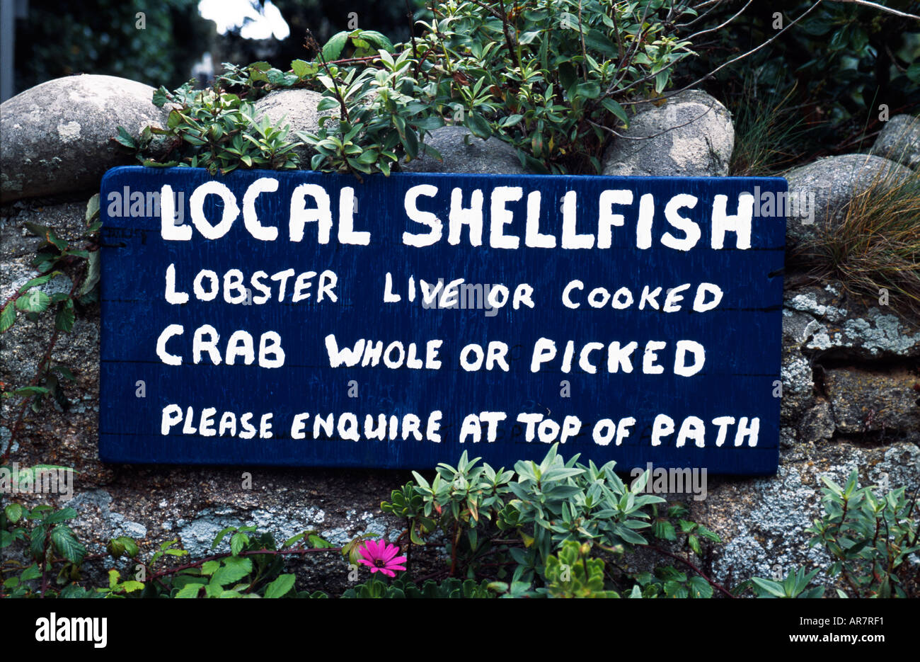 Bryher shellfish hi-res stock photography and images - Alamy
