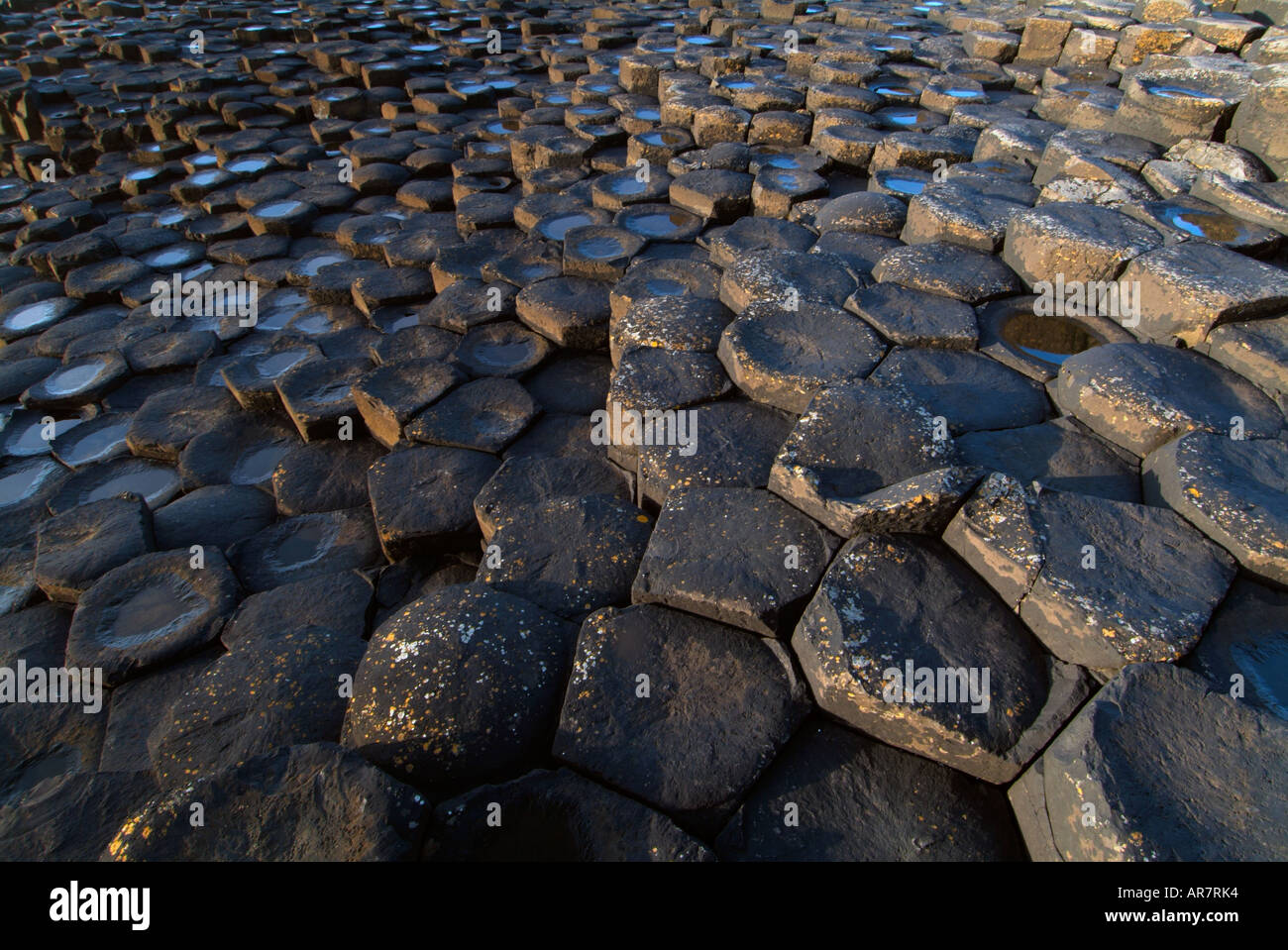 Close up of the hexagonal shaped basalt columns at the Giant's Causeway ...