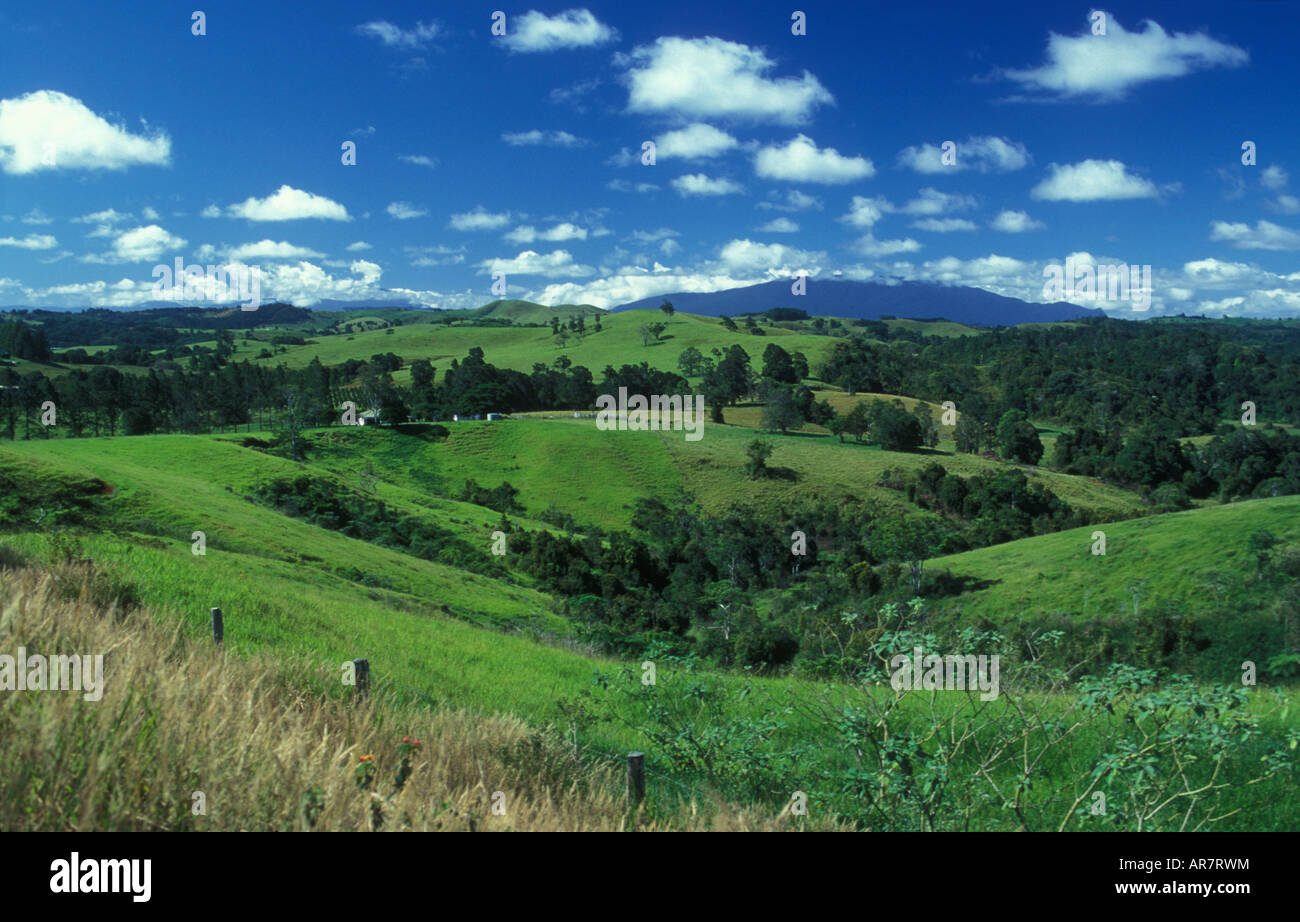 Atherton tableland hi-res stock photography and images - Alamy