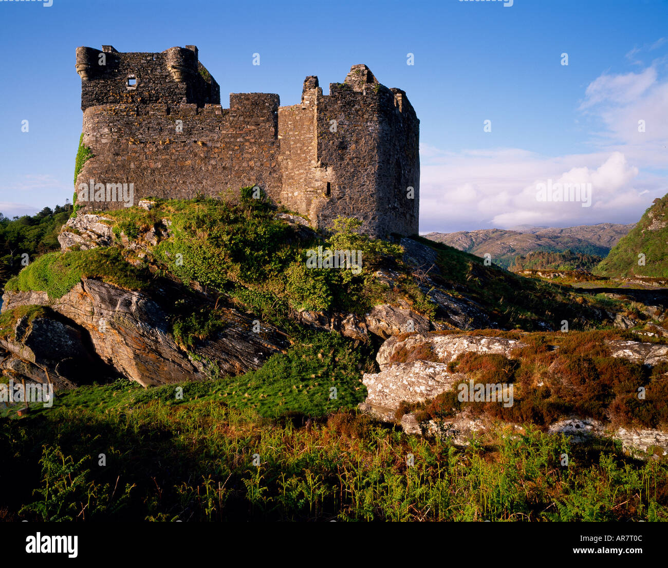 The ruins of Castle Tioram Stock Photo - Alamy