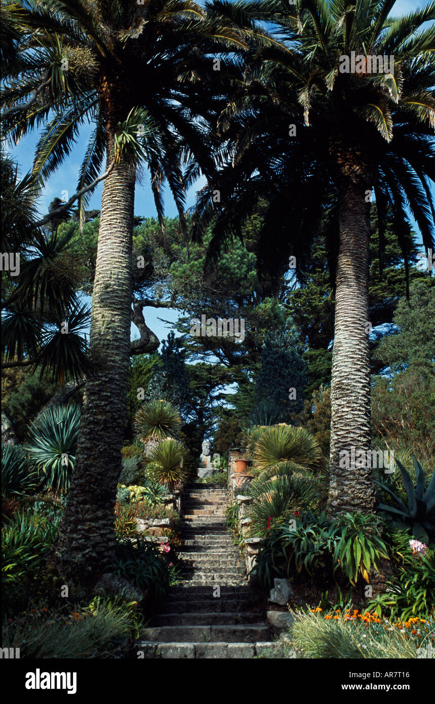 Palm trees and Neptune steps in Tresco Abbey Gardens leading to the ...