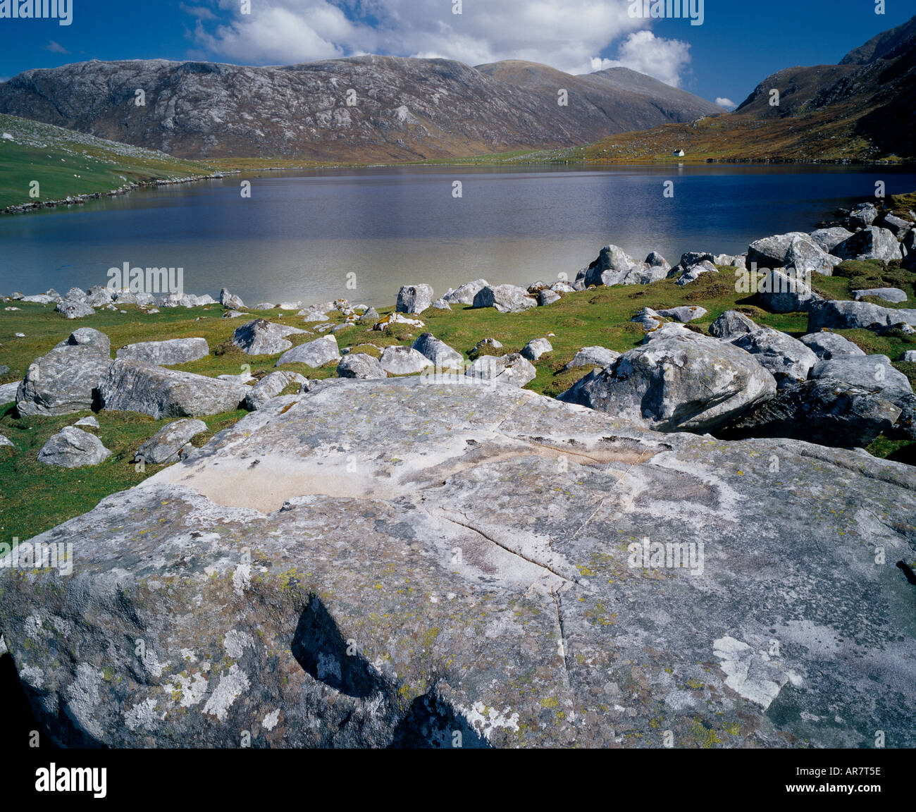 Cleavag hi-res stock photography and images - Alamy