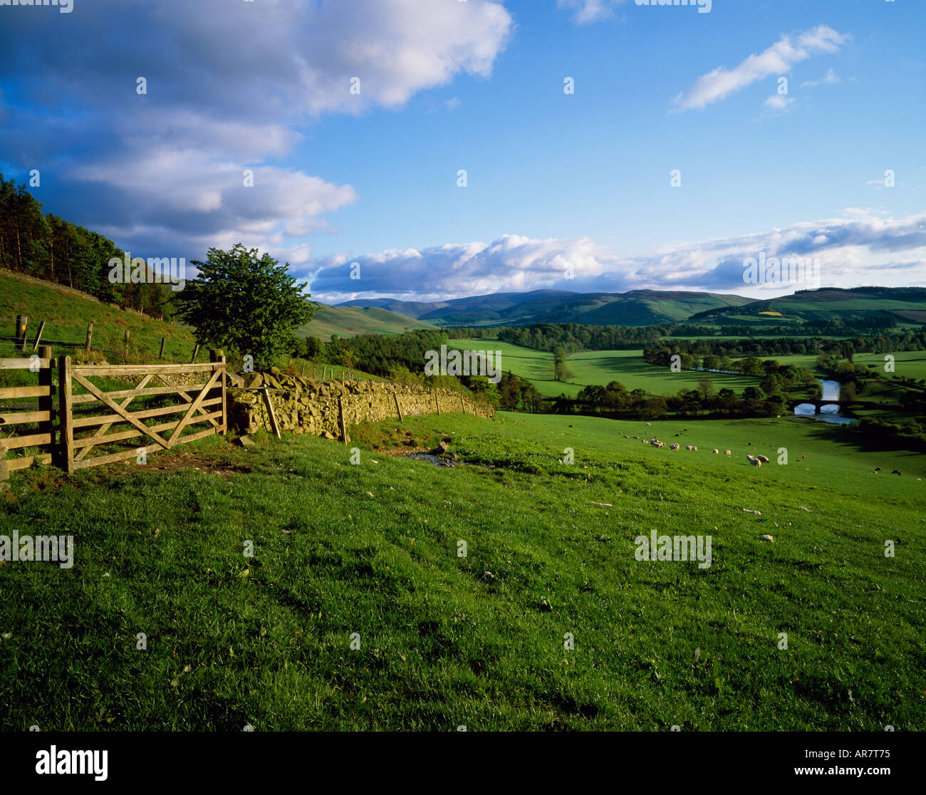 Manor valley scotland hi-res stock photography and images - Alamy