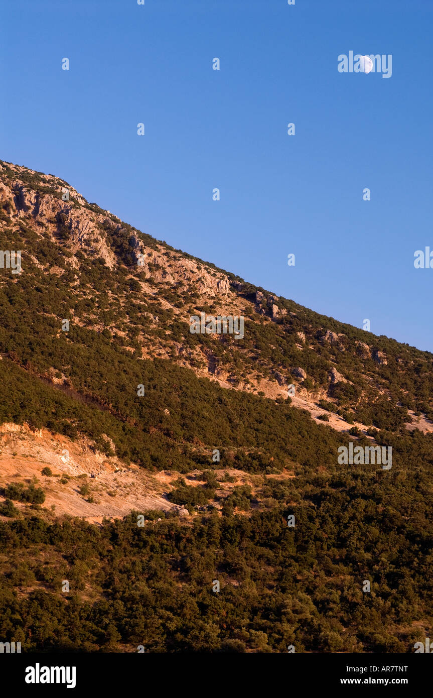 Godlen light hi-res stock photography and images - Alamy