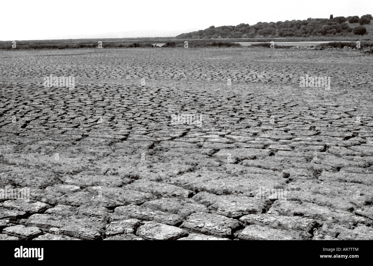 Greece, gulf Ambrakikos drought Stock Photo - Alamy