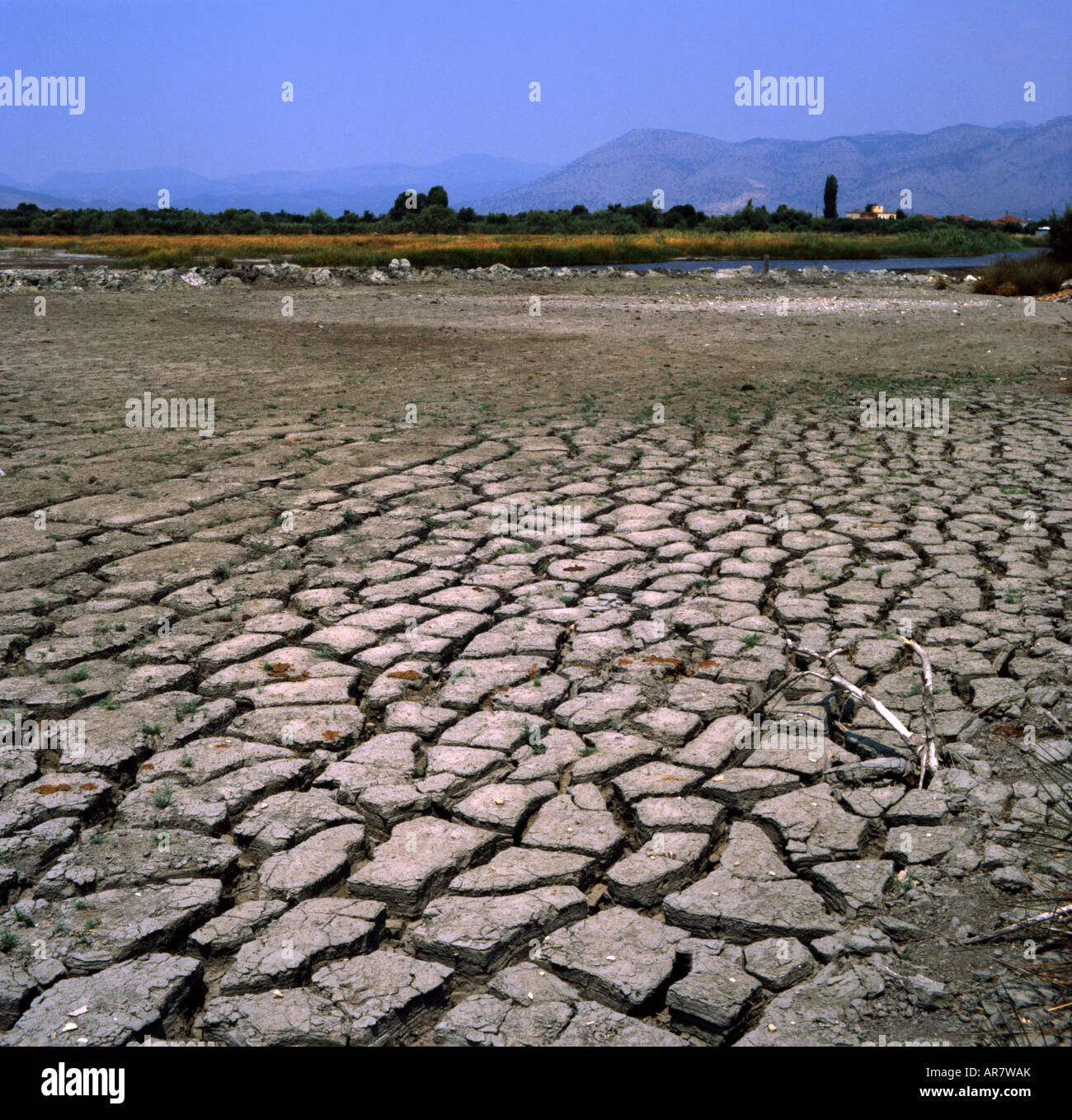 Greece, gulf Ambrakikos drought Stock Photo - Alamy