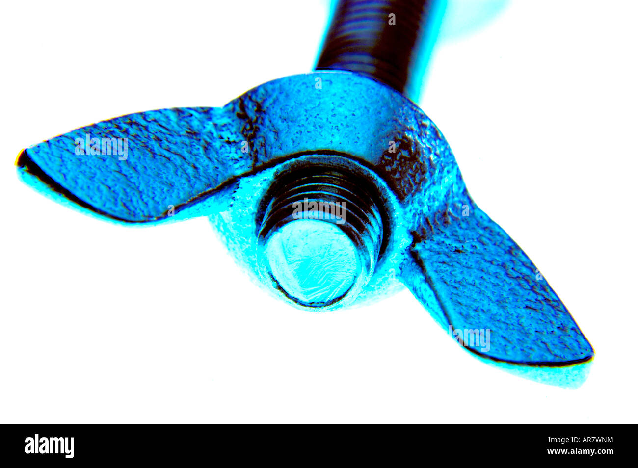 Srew hi-res stock photography and images - Alamy