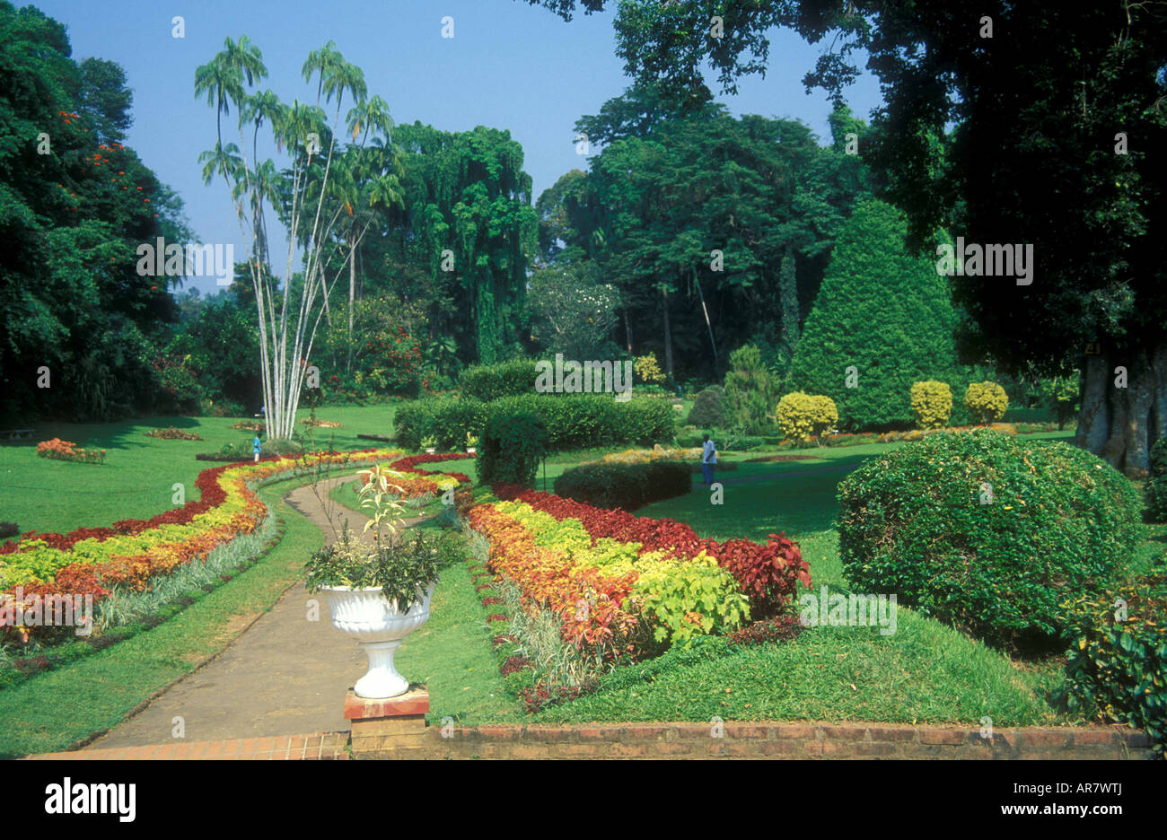 Peradeniya Botanical Gardens Sri Lanka Kandy Stock Photo - Alamy