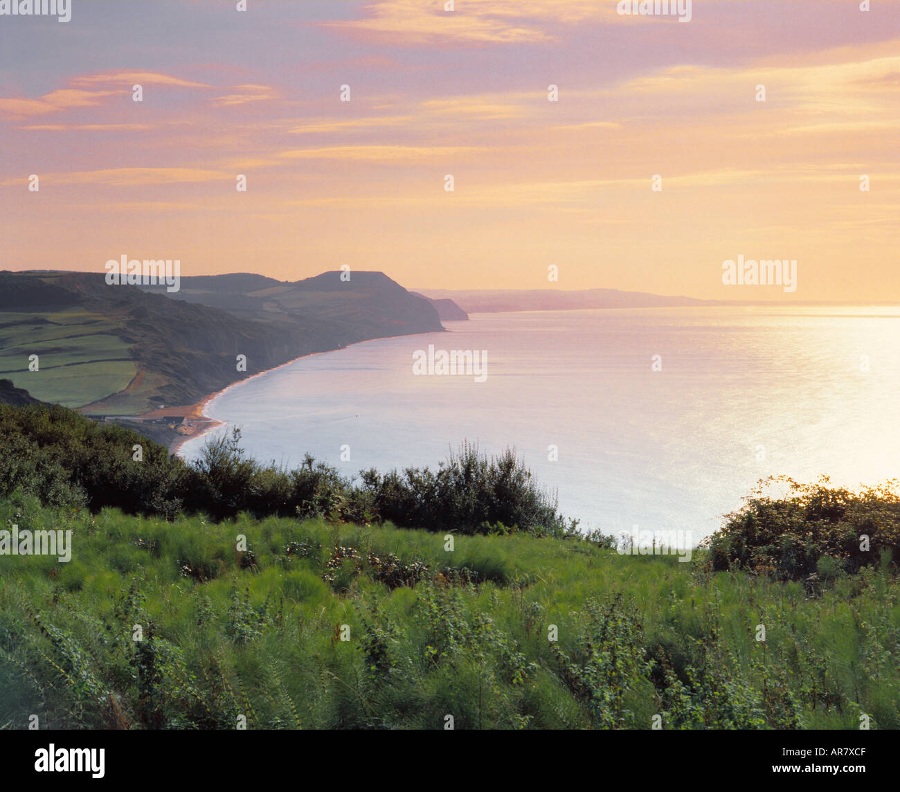 GB DORSET LYME BAY AND GOLDEN CAP Stock Photo - Alamy