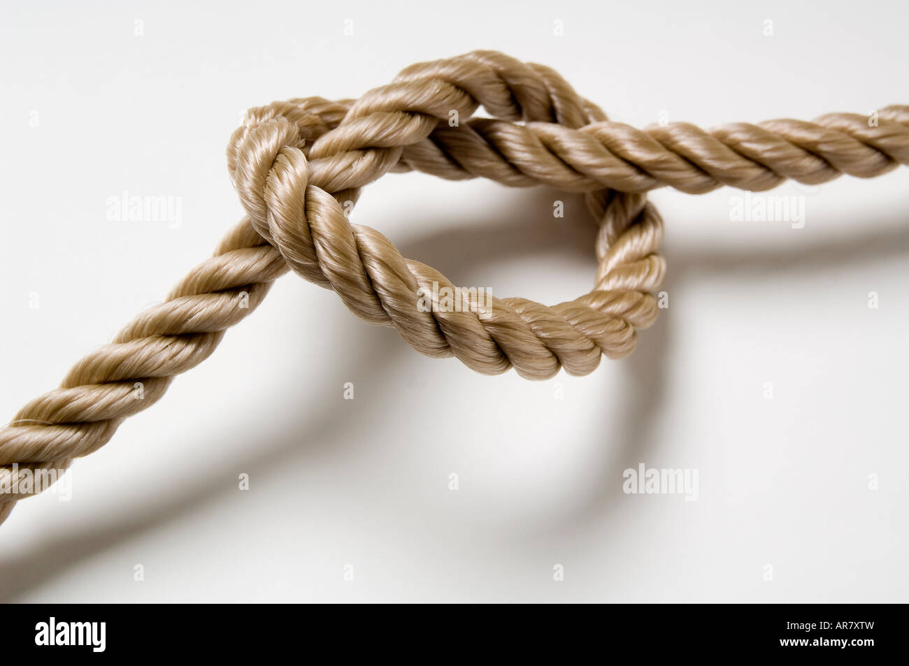 Bind Together High Resolution Stock Photography and Images - Alamy