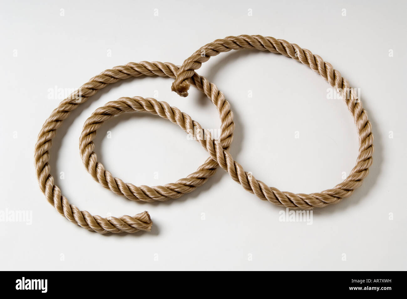 Coiled rope snake hi-res stock photography and images - Alamy