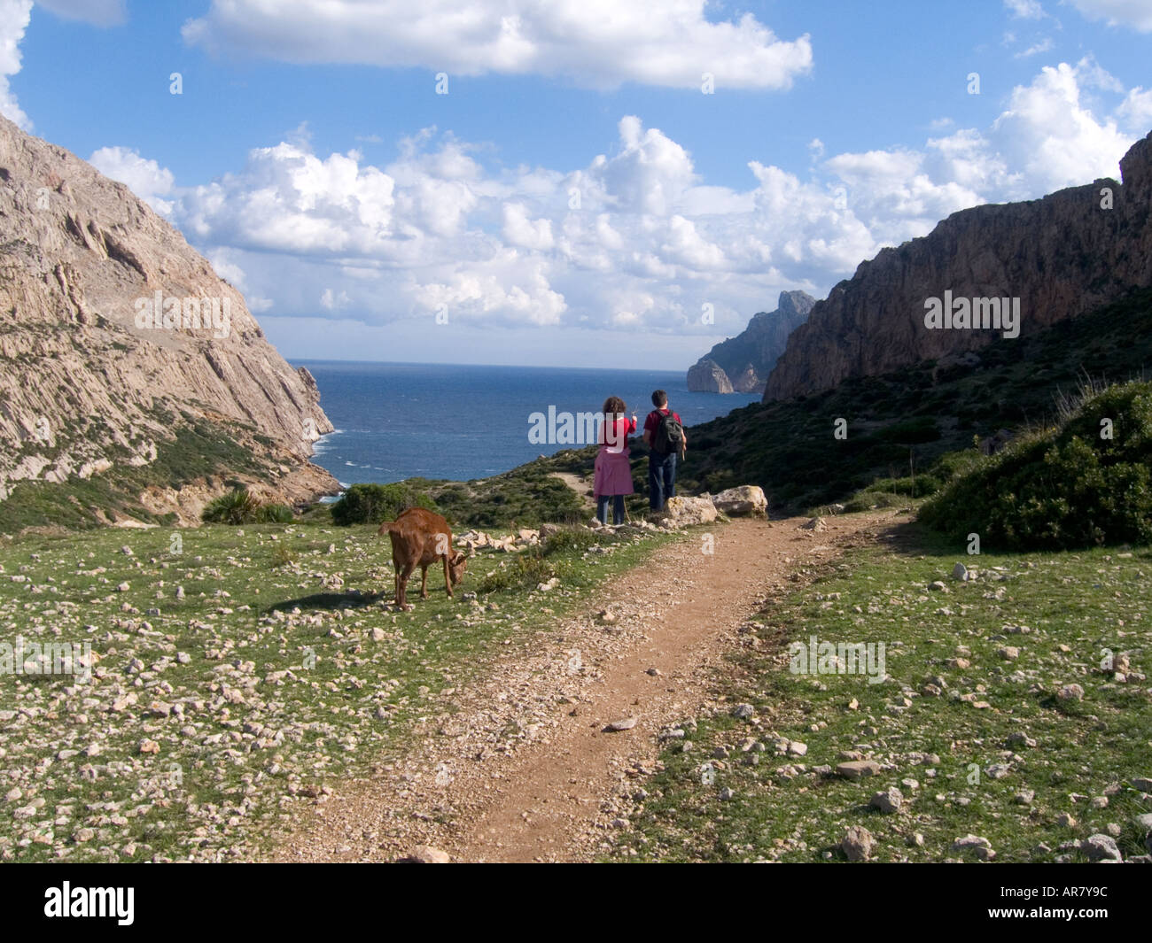 Boquer Valley Walk Port de Pollenca view from above Cala Boquer Stock ...