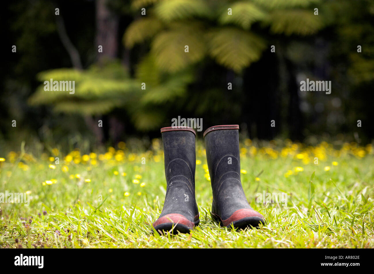 muddy gumboots in grass Stock Photo - Alamy