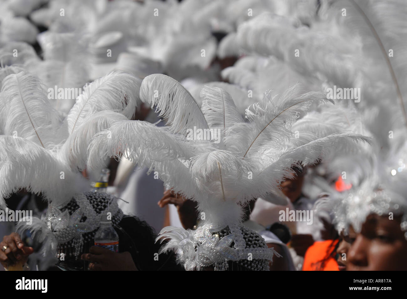 feathers at carnival Stock Photo - Alamy