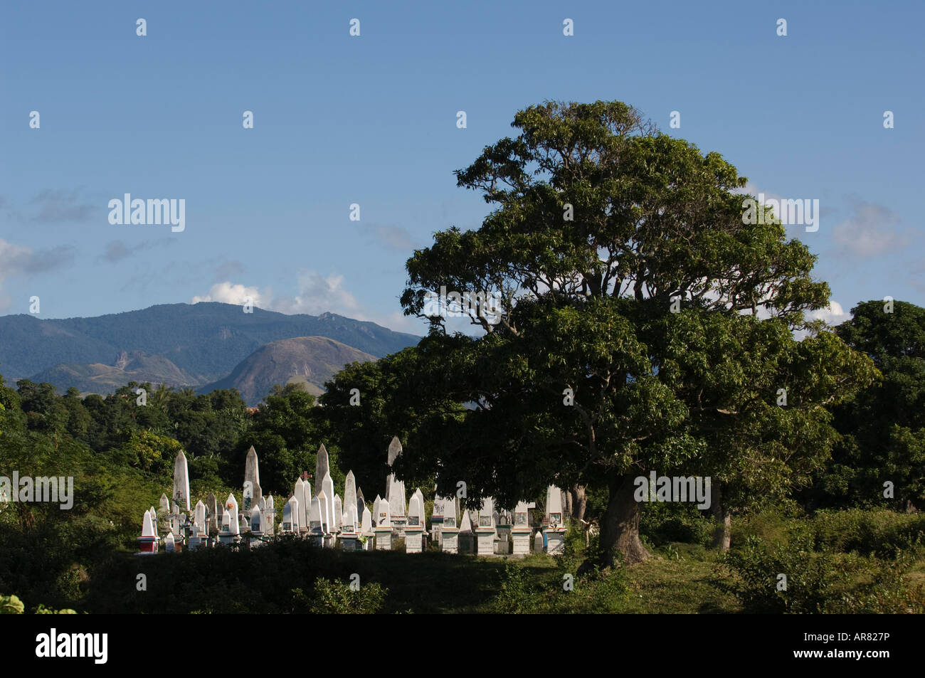 Antanosy tomb near Taolagnaro, Fort Dauphin, Madagascar Stock Photo - Alamy