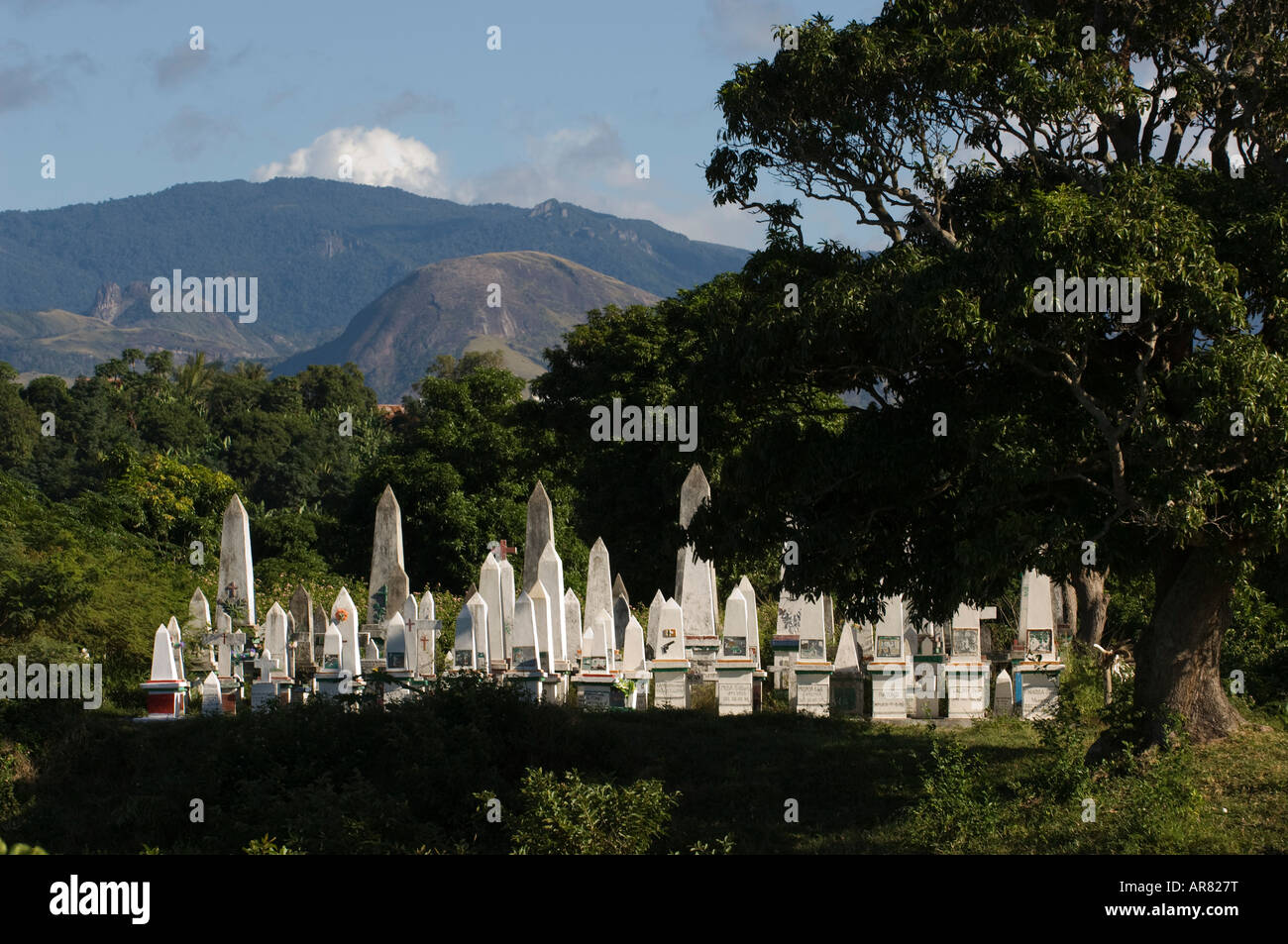 Antanosy tomb near Taolagnaro, Fort Dauphin, Madagascar Stock Photo - Alamy