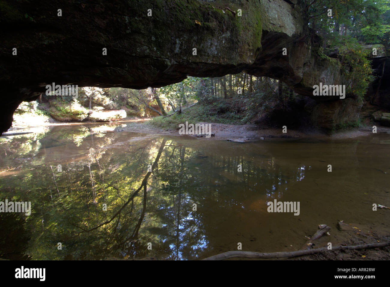 Sandstone arch in the Clifty Wilderness Red River Gorge Geological Area ...
