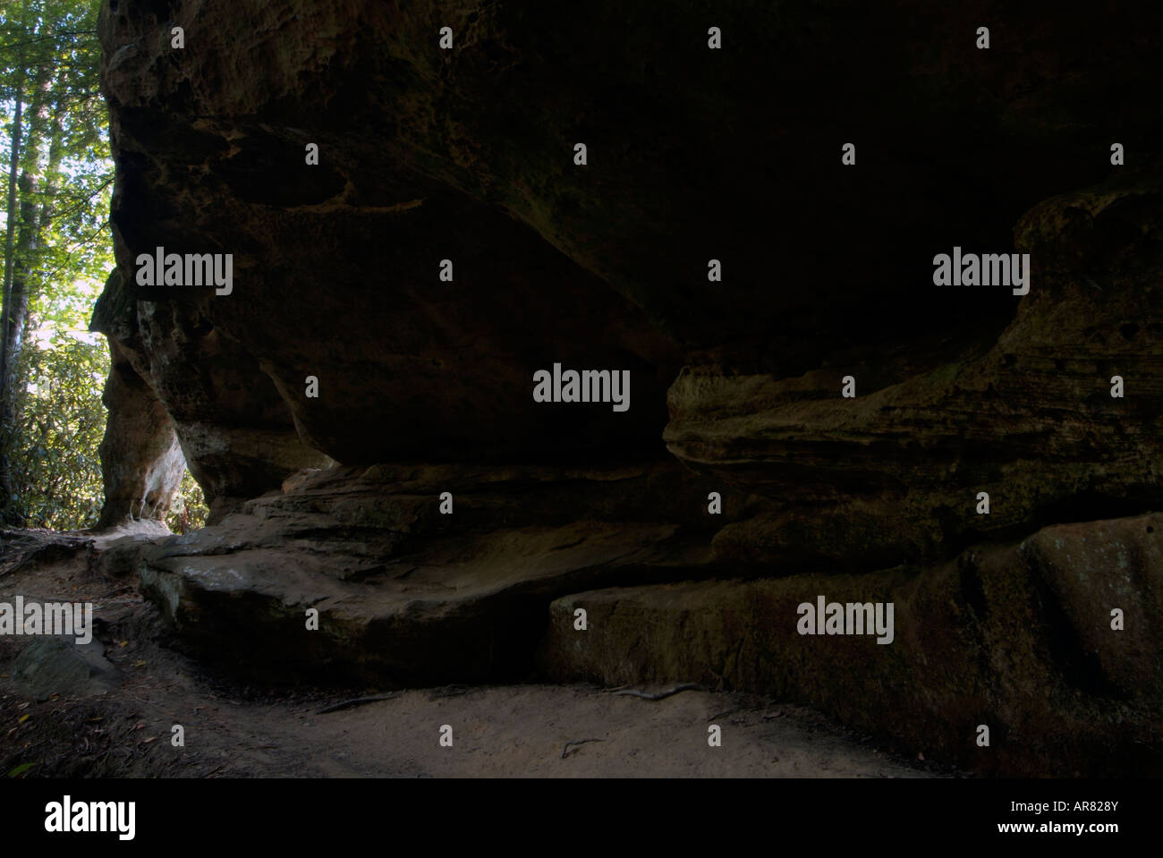 Sandstone arch in the Clifty Wilderness Red River Gorge Geological Area ...