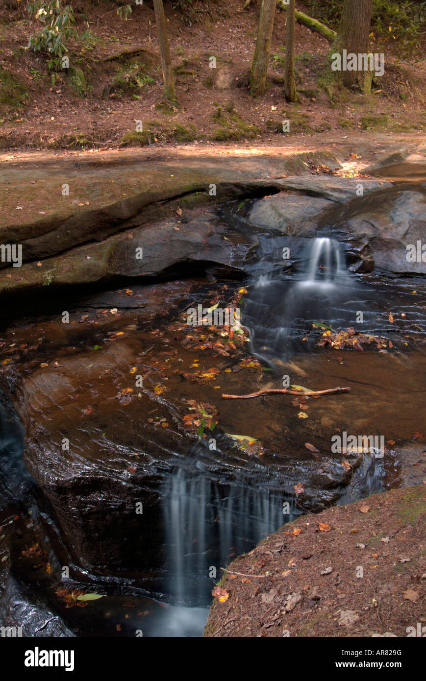 Creation Falls Waterfall in Autumn Clifty Wilderness Red River Gorge ...