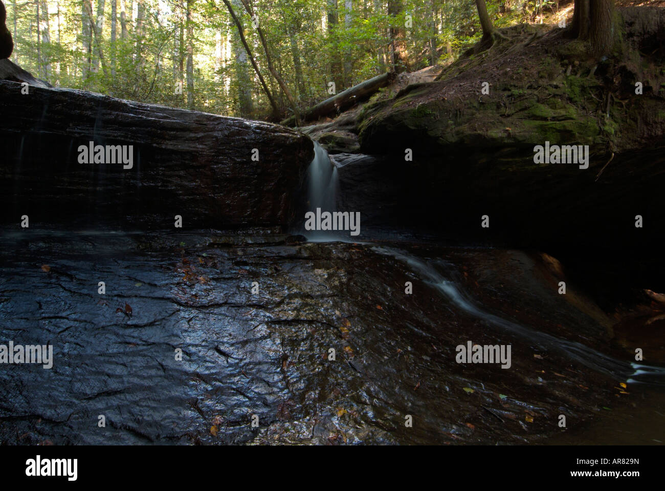 Creation Falls Waterfall in Autumn Clifty Wilderness Red River Gorge ...