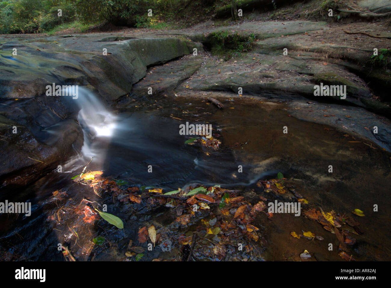 Creation Falls Waterfall in Autumn Clifty Wilderness Red River Gorge ...