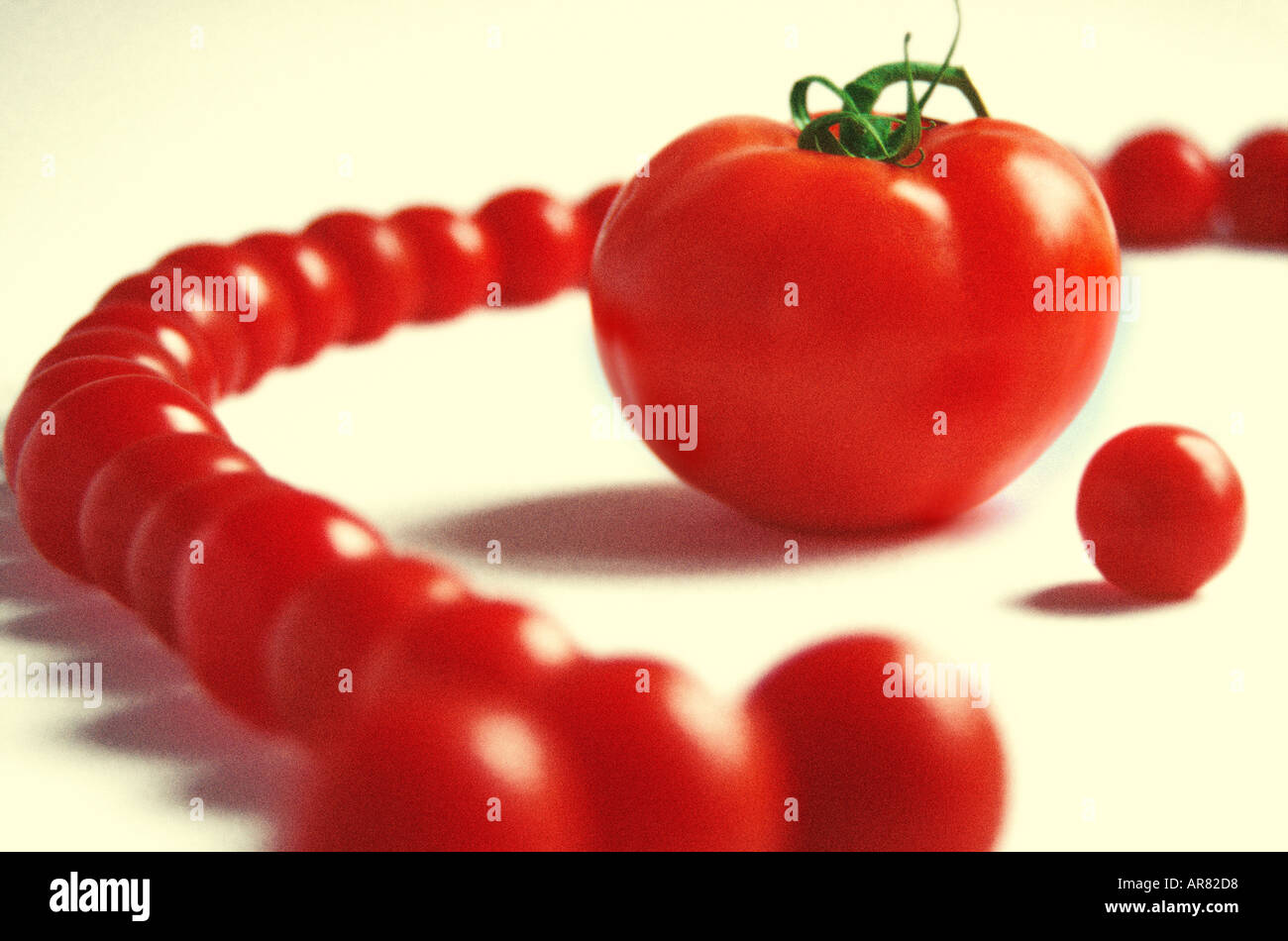Semi ripe tomato hi-res stock photography and images - Alamy