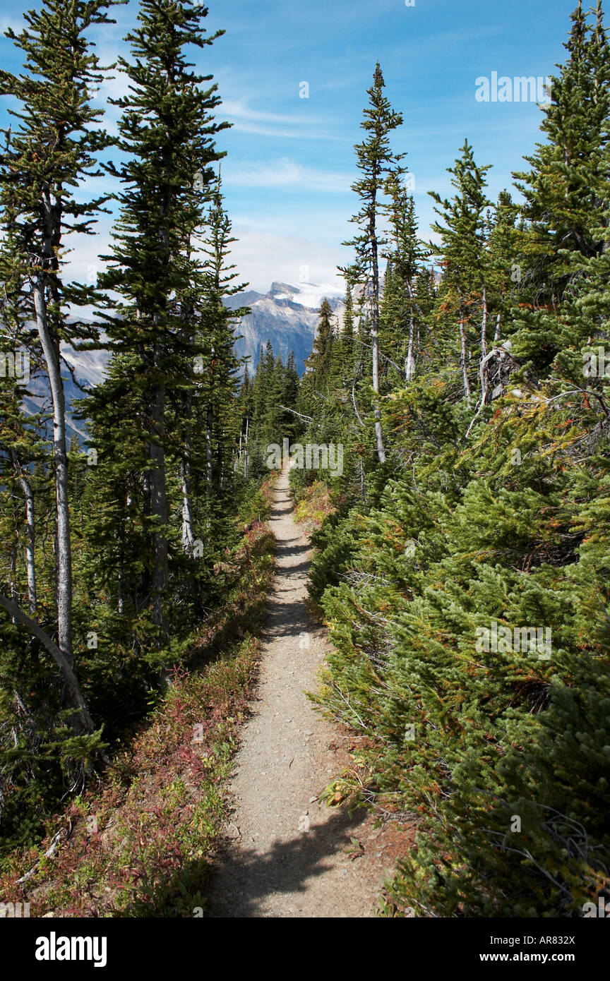 Emerald Triangle hiking trail Emerald Lake Yoho National Park British ...