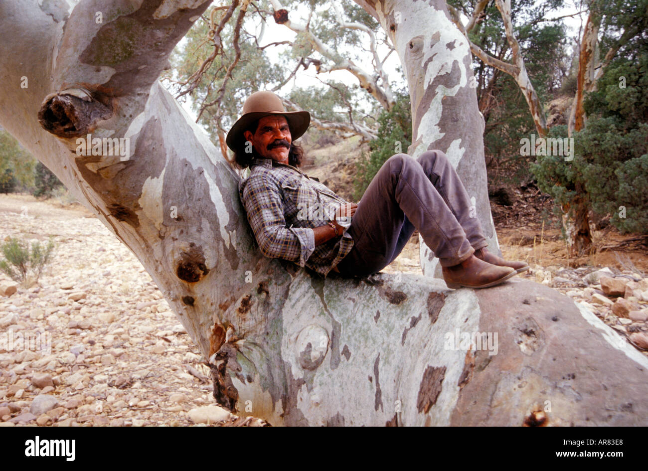 Aboriginal Man Watching High Resolution Stock Photography and Images ...