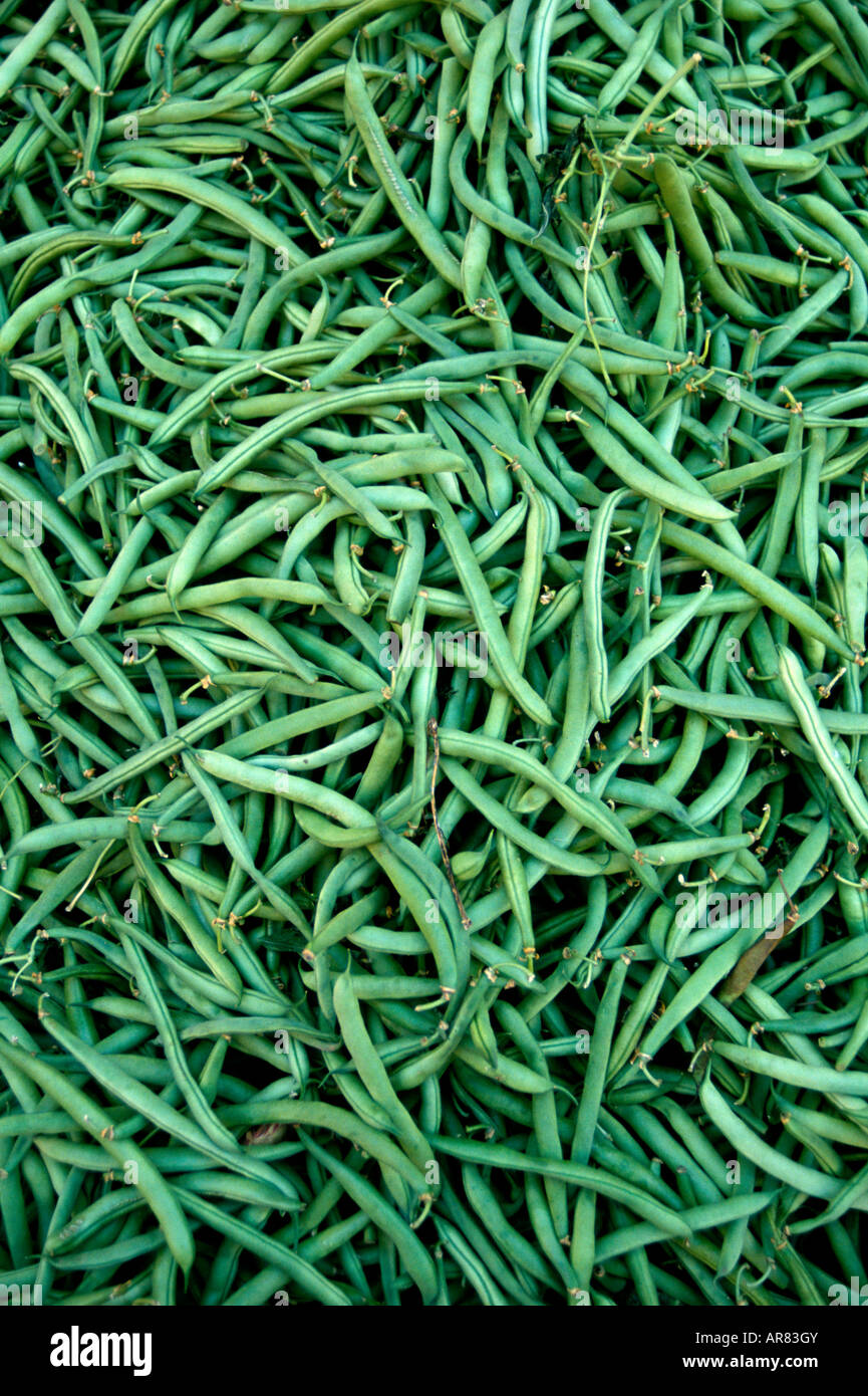 Haricot vert hi-res stock photography and images - Alamy