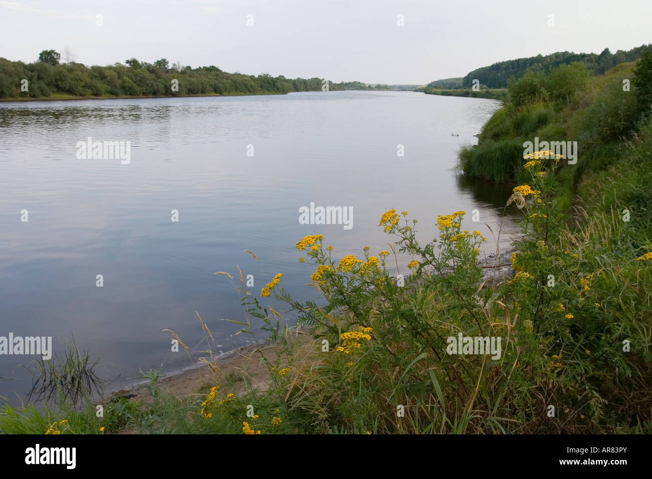 Klyazma river hi-res stock photography and images - Alamy
