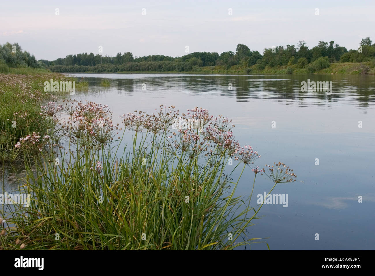Klyazma river hi-res stock photography and images - Alamy