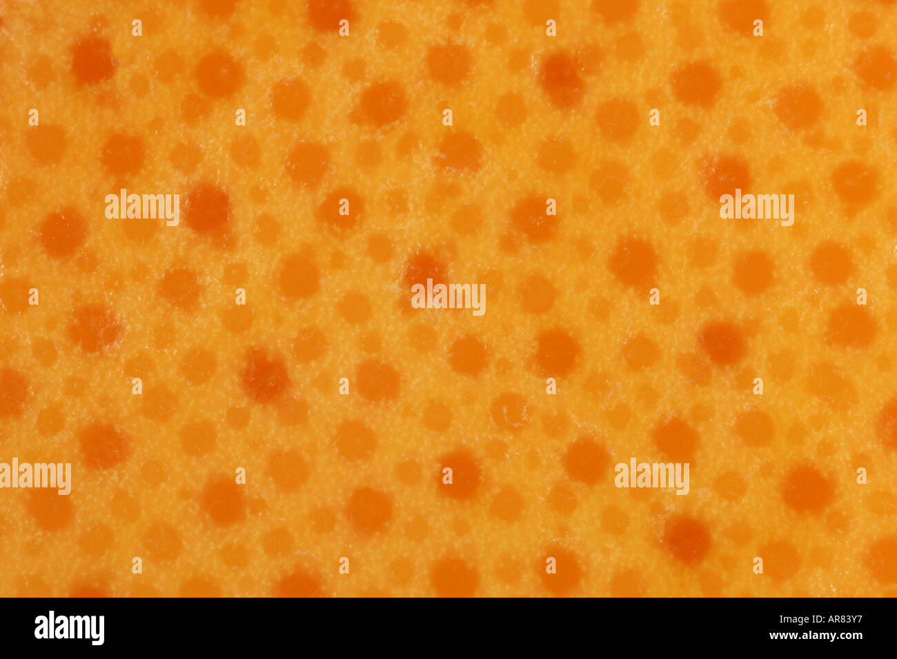 Extreme close-up of the peel of a blood grapefruit Stock Photo - Alamy