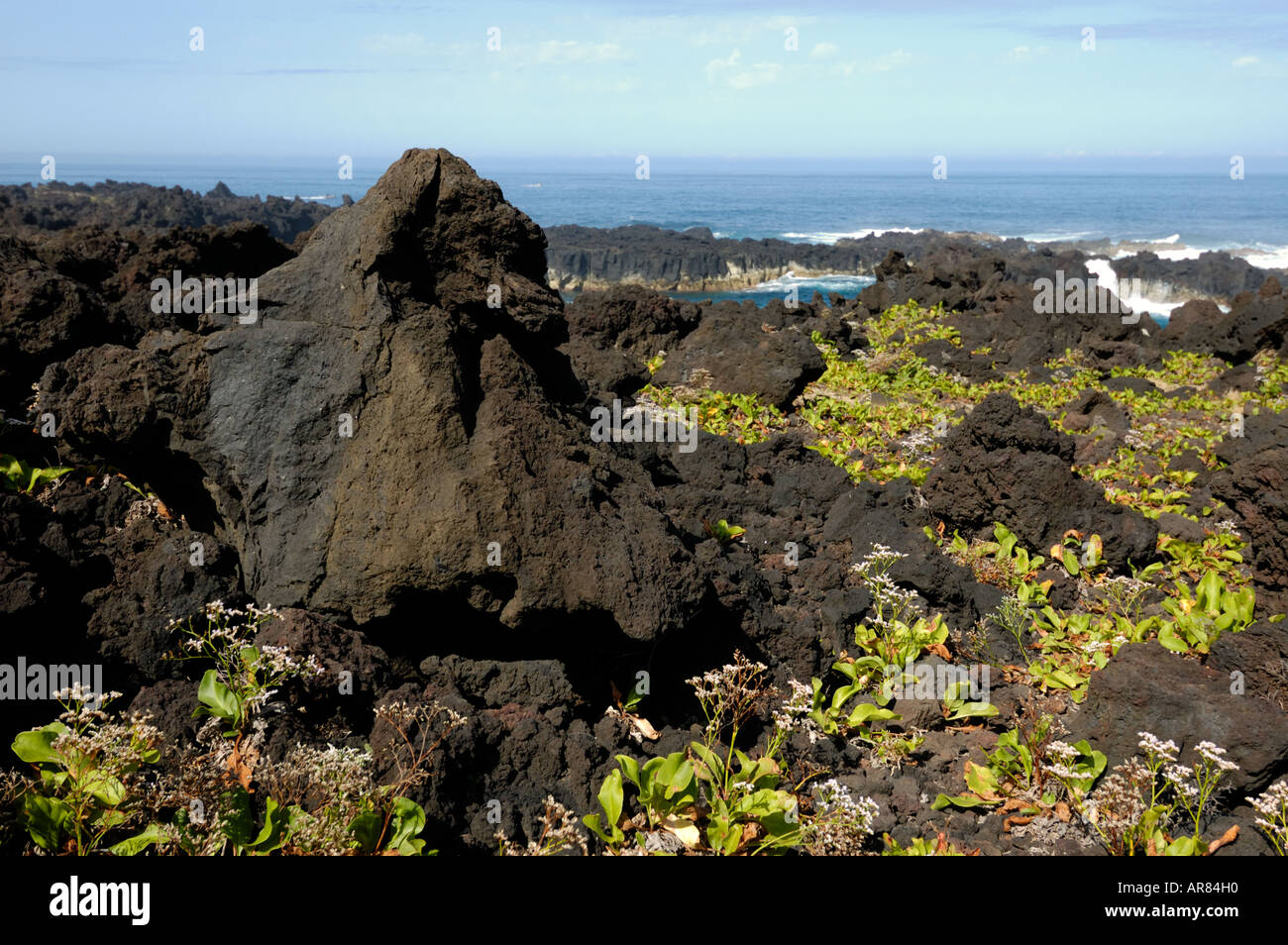 Ginetes High Resolution Stock Photography and Images - Alamy