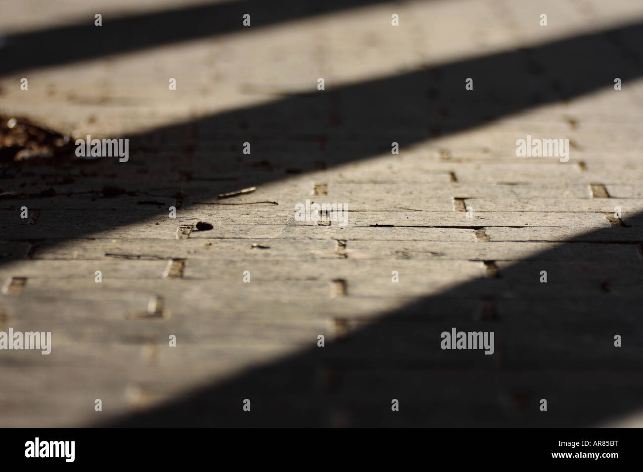 Shadows on Pavement Stock Photo - Alamy