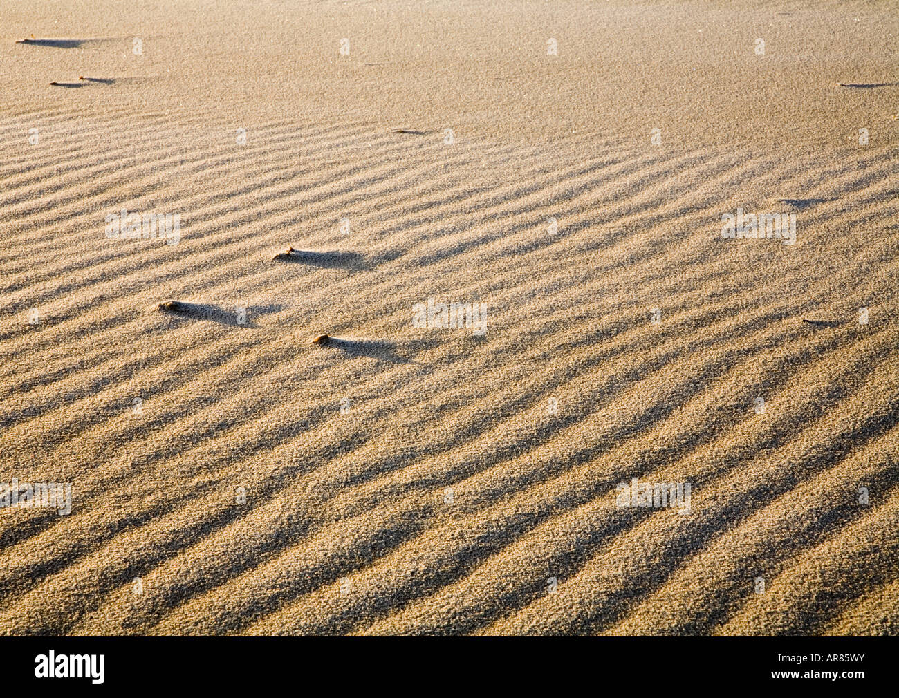 Sand ripples on the beach hi-res stock photography and images - Alamy