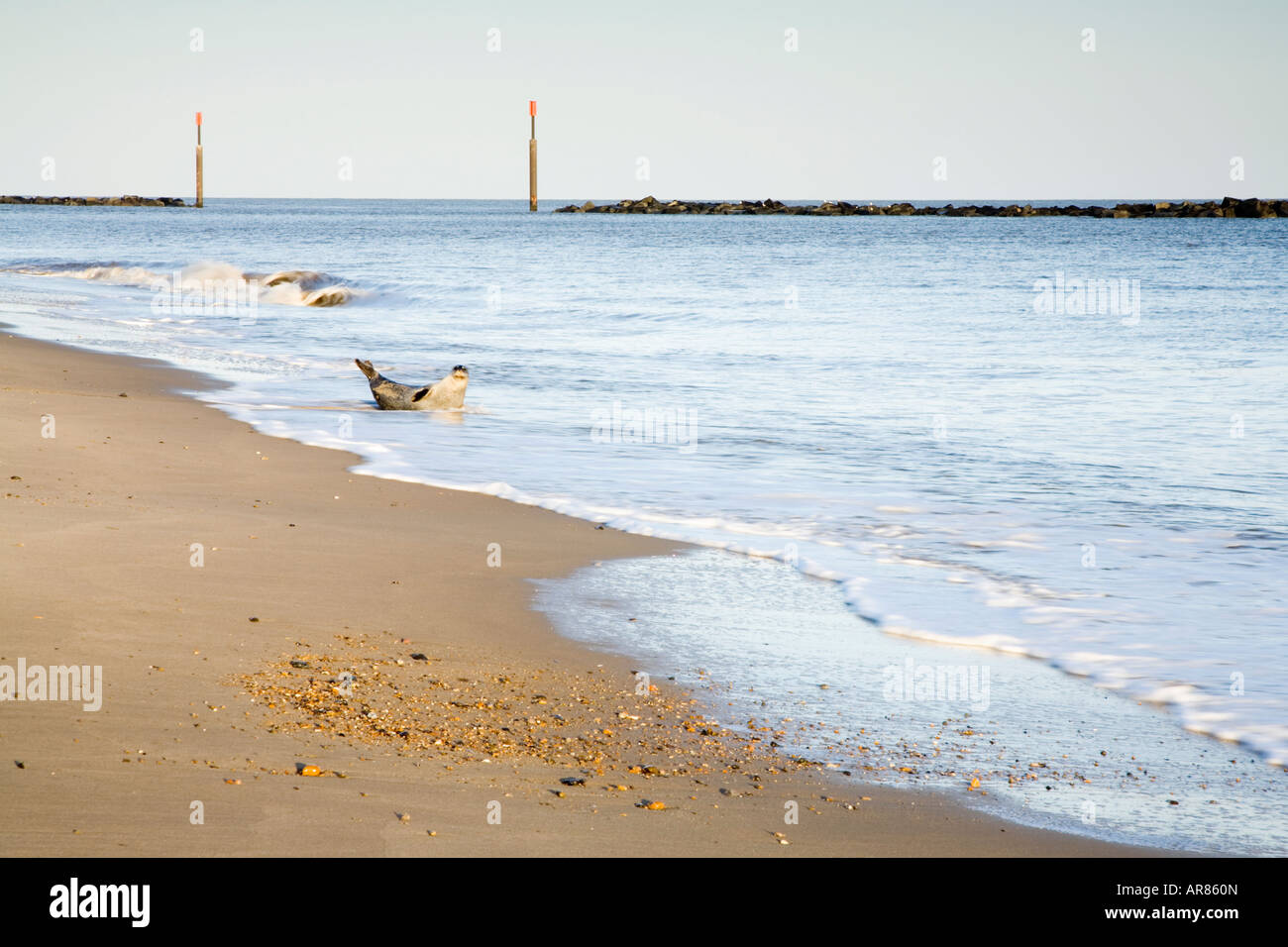 Sea palling hi-res stock photography and images - Alamy